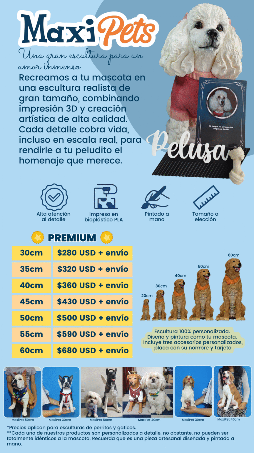 Internacional MaxiPet – Andika3D