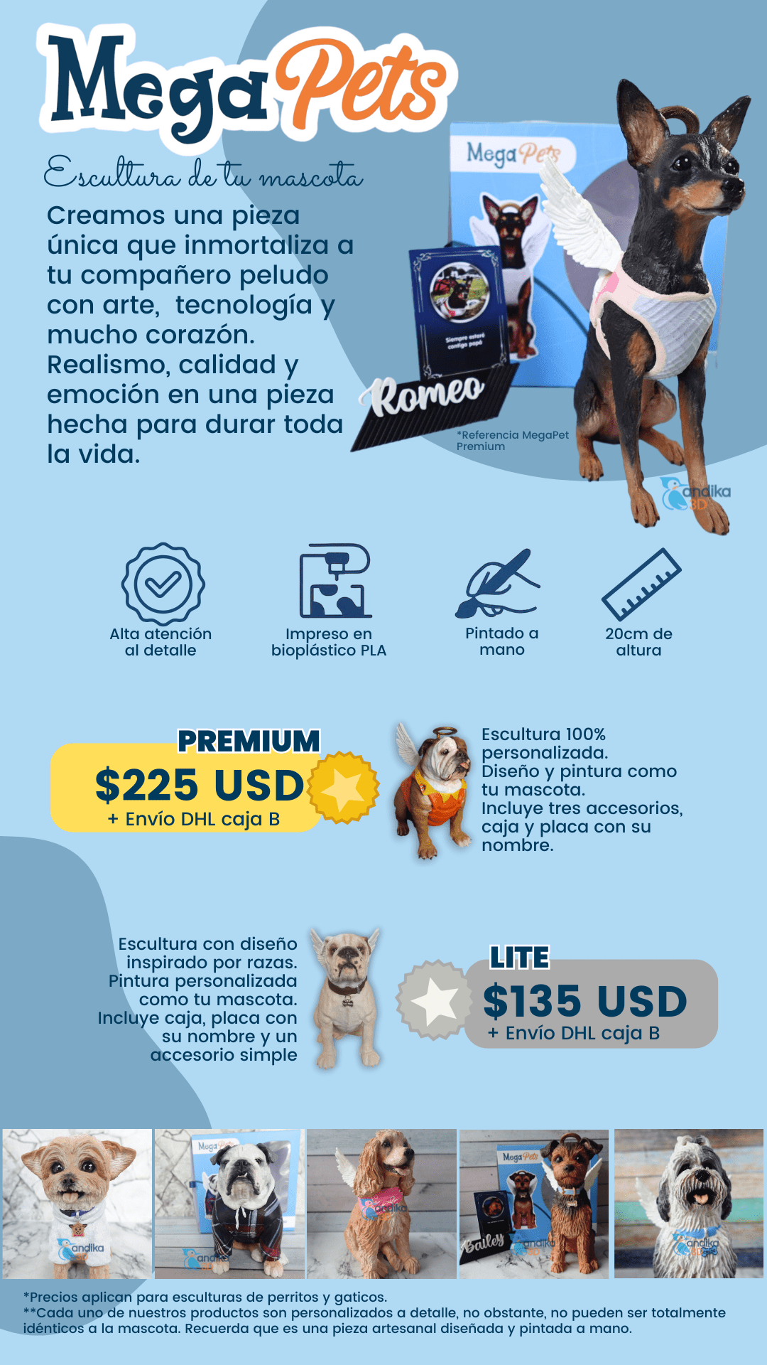 Internacional MegaPet – Andika3D